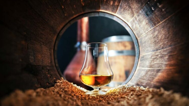The Long-Term Benefits of Investing in Whisky Casks - Vintage Acquisitions